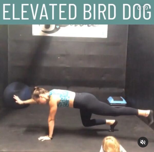 7 Bear Crawl Variations for a Full-Body Workout - Elysian Women's Wellness