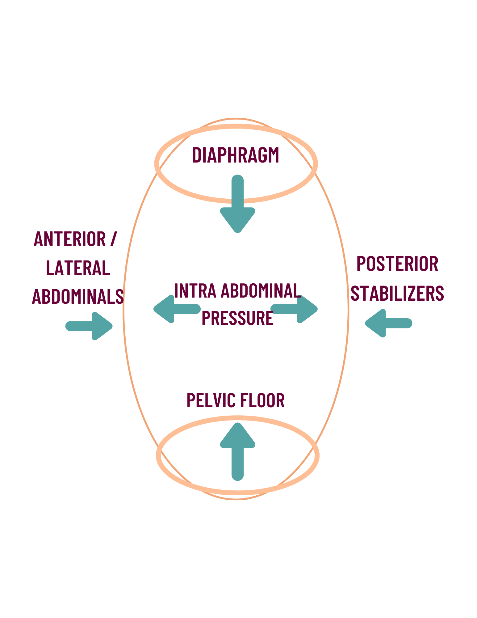 INTRA-ABDOMINAL PRESSURE / BRACING - Elysian Women's Wellness