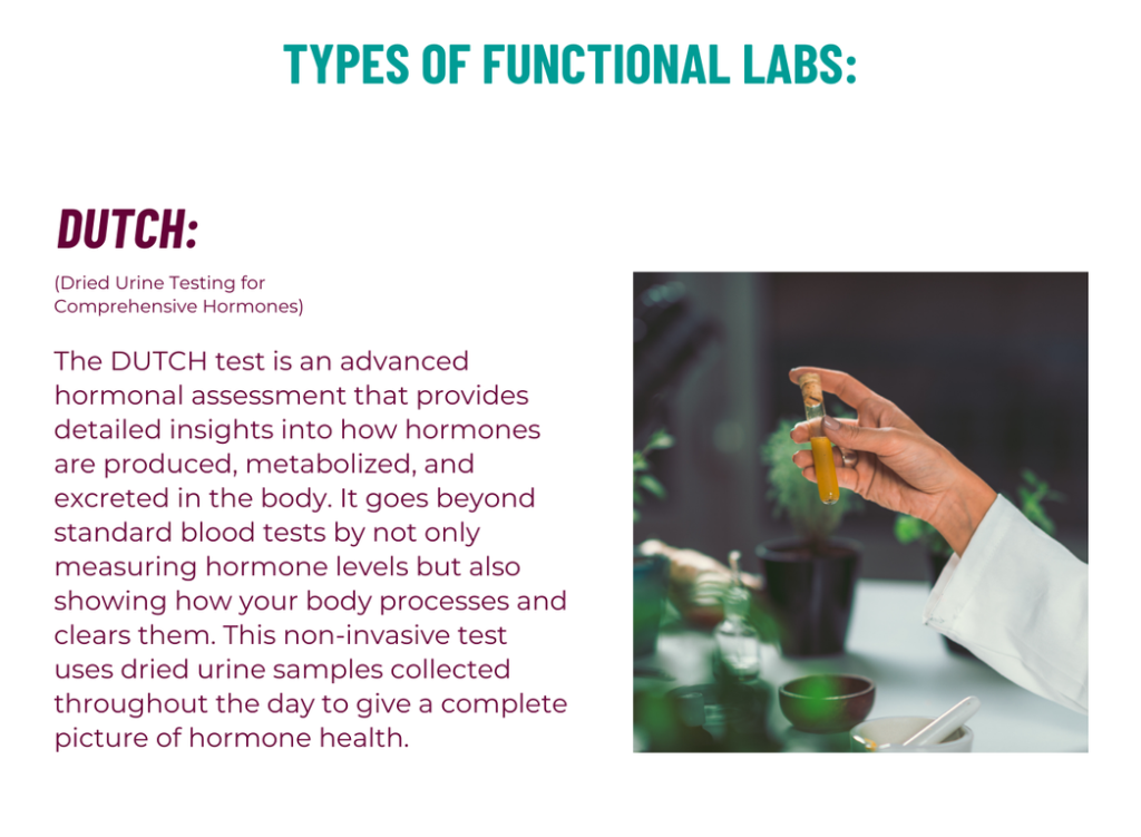 Main Functional Labs for Hormonal Health - Elysian Women's Wellness